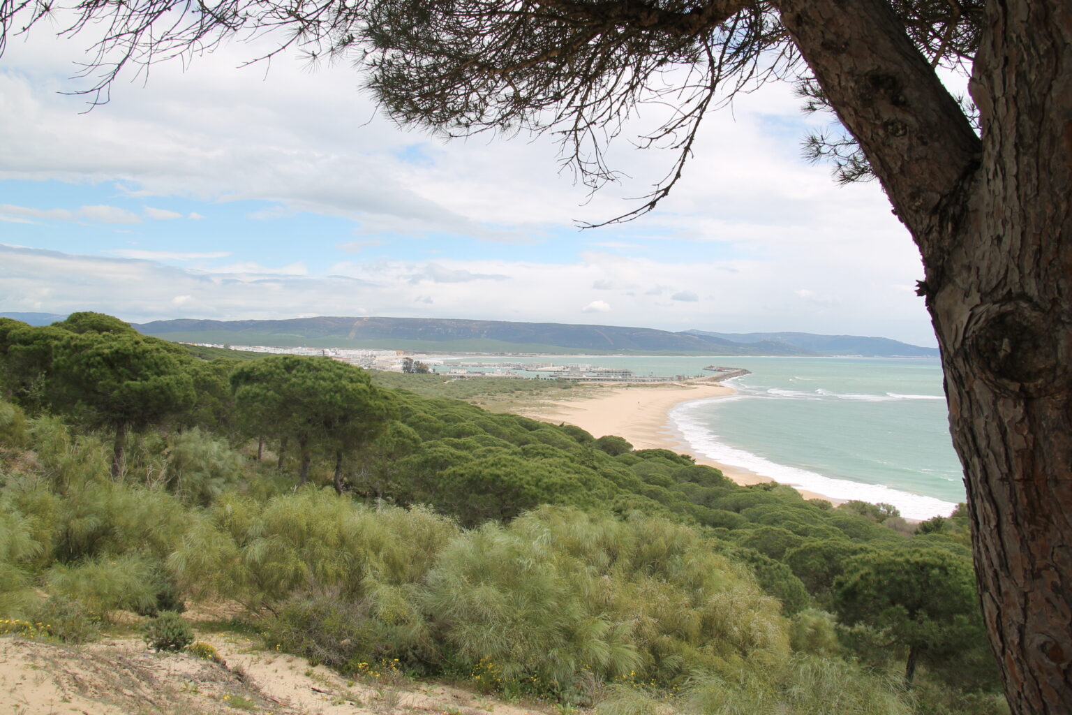 Ruta por los acantilados de Barbate - La Costa de Cádiz